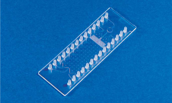 Microfluidic Chip