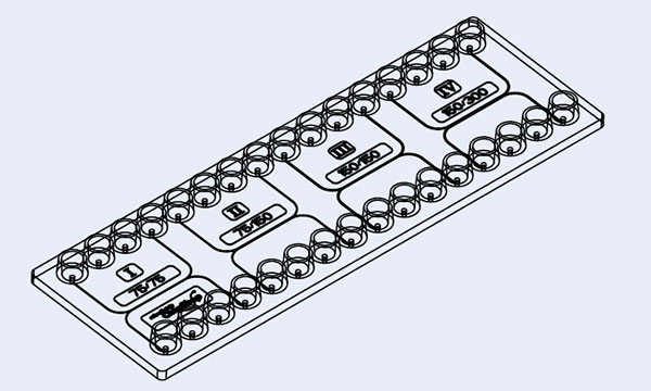 Microfluidic Chip
